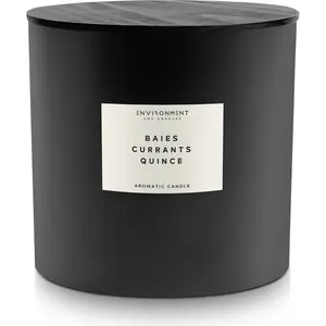 ENVIRONMENT Inspired By Designer Perfume Candle Baies | Currants | Quince